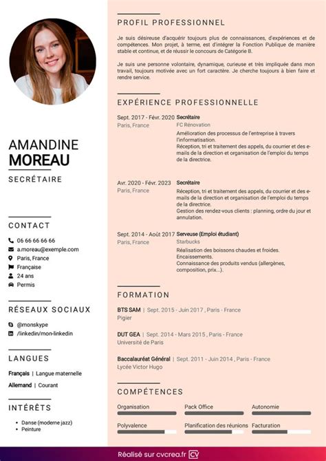 Mod Les De Cv Modernes Remplir Et T L Charger Cvcrea