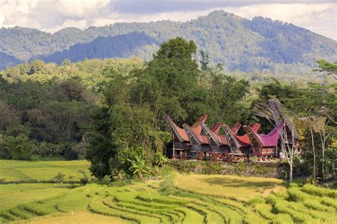 Circuit Nature Et Culture En Indon Sie Java Born O Sulawesi Bali