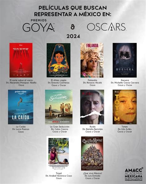 Conoce Cu Les Son Las Pel Culas Mexicanas Que Buscan Llegar Al Oscar