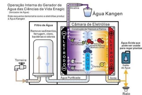 Como funciona o purificador de água Kangen Kangen Saúde