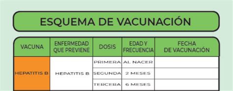 Las Primeras Vacunas De Mi Cartilla Nacional De Salud Nueva Escuela