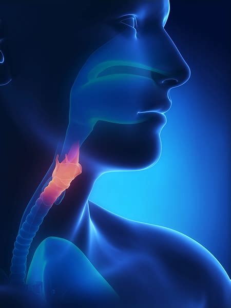Throat Cancer Laryngeal Cancer Causes Symptoms And Treatment
