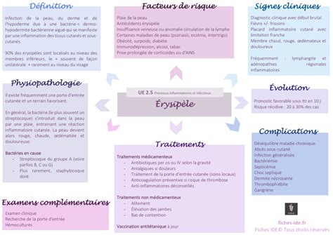 8 Schéma Érysipèle Fiches IDE