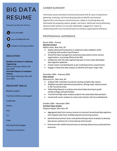 Big Data Resume Sample Template 24 Skills To Include