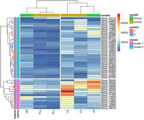 Making A Heatmap In R With The Pheatmap Package Dave Tang S Blog