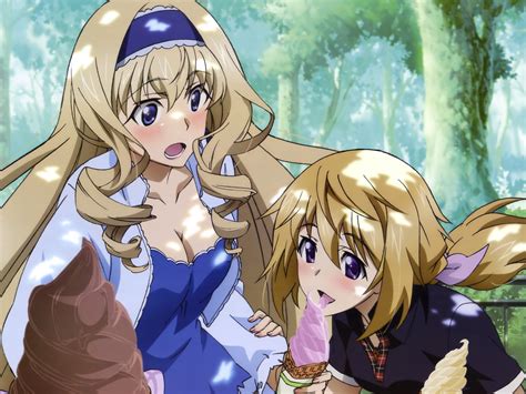 Huang Lingyin Infinite Stratos Alcot Cecilia Dunois Charlotte Shinonono Houki Anime Girls