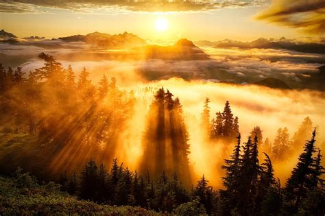 Green Leafed Trees Landscape Sun Rays Forest Mountains Hd Wallpaper