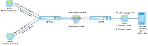 multicast routing citrix sd wan orchestrator