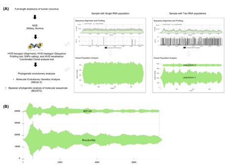 FIG S1 Flowchart Illustrating HIVE Algorithms Used To Identify Distinct