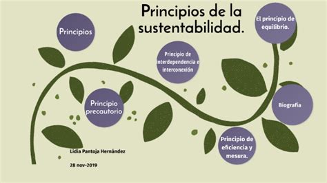 Principios De La Sustentabilidad Desarrollo The Best Porn Website