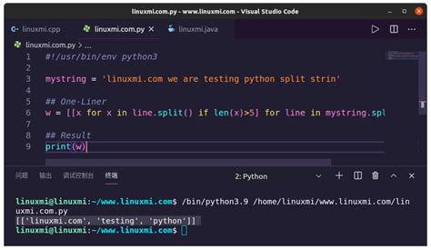 奇技淫巧 python分割字符串的5个示例 split