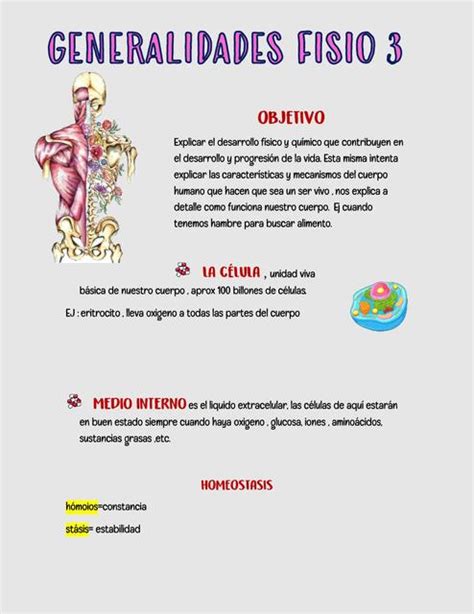 Generalidades Fisiología 3 Salud Apuntes de medicina uDocz