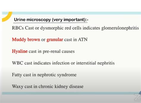Nephrology Flashcards Quizlet