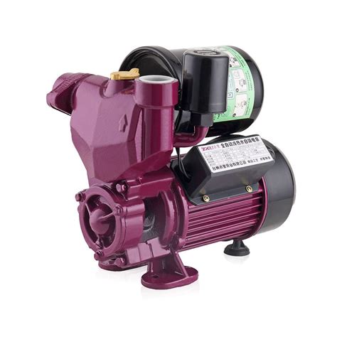 Automatic Electric Self Priming Water Pump With Pressure Tank China
