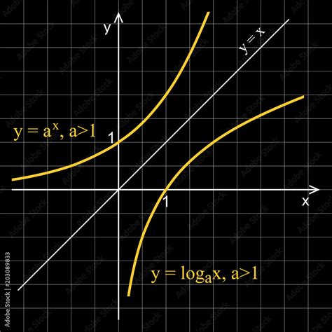 linear graph in a coordinate system logarithmic curve and exponential curve stock vector
