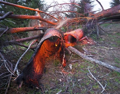 When Lightning Strikes How To Stay Safe During Thunderstorms ExpatGo
