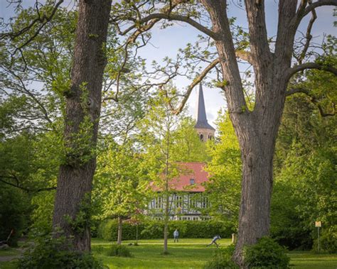 Ernst Ehrlicher Park Stadtpark Hildesheim