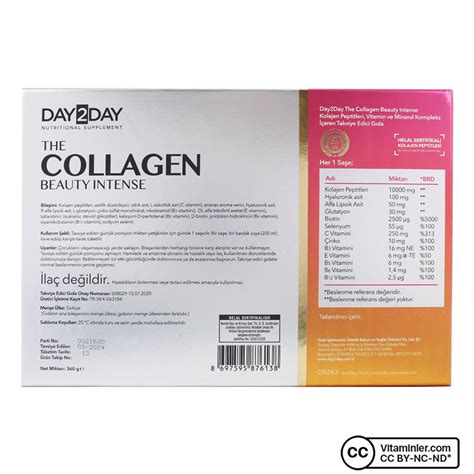 Day2Day The Collagen Beauty Intense 30 Saşe Vitaminler