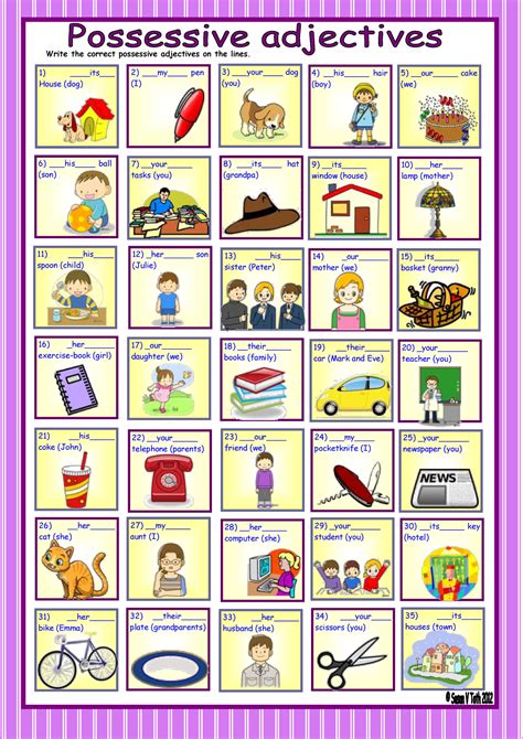 Possessive Adjective Worksheet Write The Correct Possessive