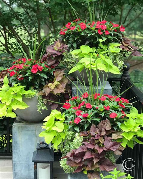 Front Porch Magic Transform Your Space With Flower Pots Click Here