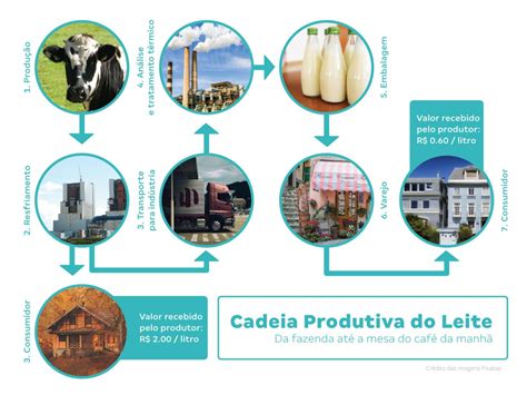 Os processos de produção no campo e na cidade Planos de aula 4º ano