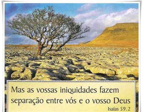 O Pecado Faz Separação LIBRAIN