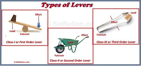 Types Of Levers First Second Third Order Examples Selftution