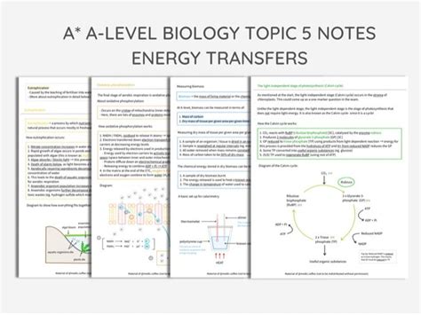 A Aqa A Level Biology Topic Revision Notes Energy Transfers In And