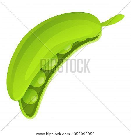 Peas Seed Icon Vector Photo Free Trial Bigstock