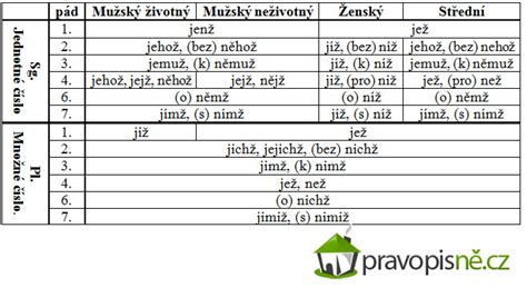 Skloňování zájmena jenž jež Pravopisně cz