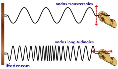 Onda transversal qué es concepto características ejemplos