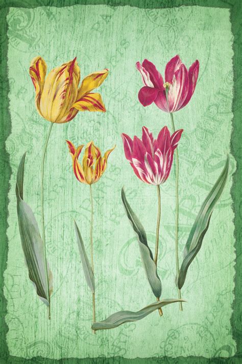 Vintage Art Illustration Flowers Free Stock Photo Public Domain Pictures