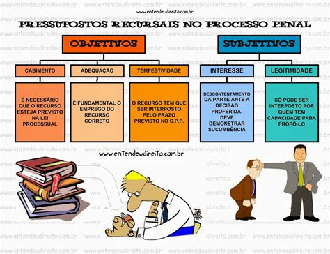 RECURSOS NO PROCESSO PENAL EFEITOS ESTUDO ESQUEMATIZADO Entendeu
