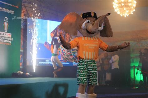 Football CAN 2023 la mascotte dénommée AKWABA officiellement