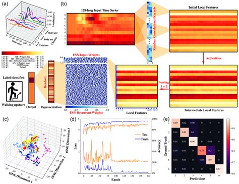 classification of the human activity recognition using smartphones download scientific diagram