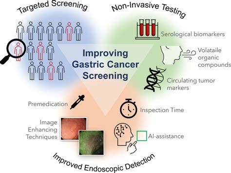 Graphical Summary Of Different Measures To Improve Gastric Cancer
