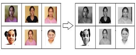 figure 1 from recognition of facial expression using eigenvector based distributed features and