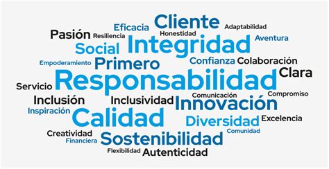 Construcción de Marca Guía Completa Agencia Seonet