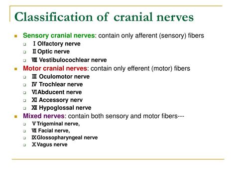 Cranial Nerves Mnemonic Function Labeled Names In Order