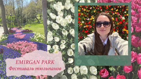 Emirgan Park Emirgan Korusu Эмирган Парк Tulip Festival Lale