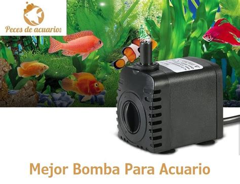 Iluminación ideal para acuarios pequeños Guía completa
