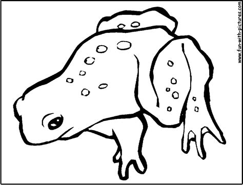 Dessins De Coloriage Grenouille Imprimer Sur Laguerche Page