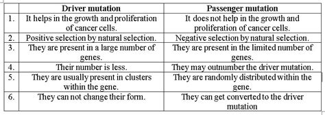 Solved What Is Driver Mutation And Passenger Mutation In Detail With