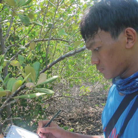 Mangrove Map Jasa Survei Dan Pemetaan Mangrove JASA