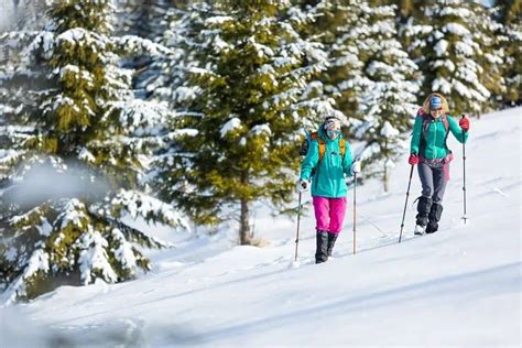 Meilleures raquettes à neige 2024 guide d achat et comparatif