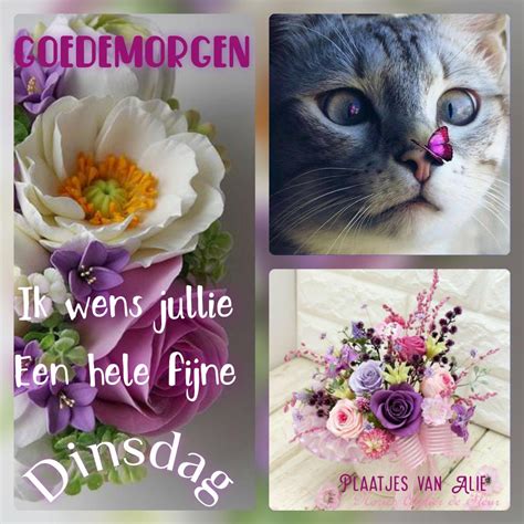 Dinsdag Plaatjes Met Berichten Pagina 2 Beste Krabbels