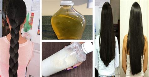 Champ S Caseros Para Hacer Crecer El Cabello R Pido