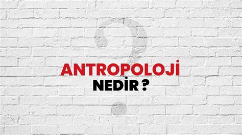 Antropoloji Nedir Ne Demek TÜBİTAK Ansiklopedi ile Antropoloji Ne