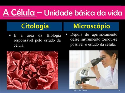 CITOLOGIA Estudo da Célula ppt carregar