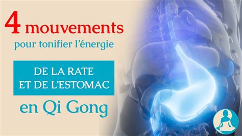 4 mouvements de Qi Gong pour renforcer l énergie de la Rate et de l